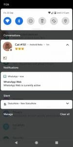 CAT LOVERS WILL LOVE THE ANDROID 11 EASTER EGG - The Simple ...